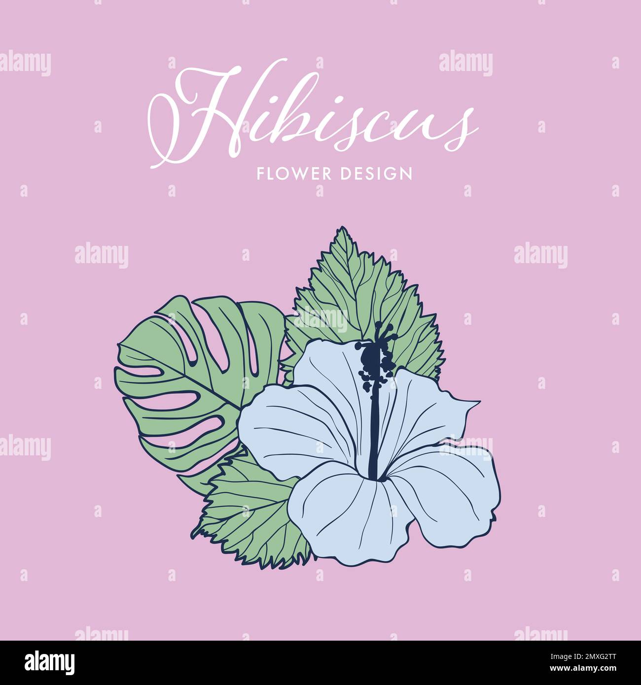 Most beautiful hibiscus flower image Stock Vector Images - Alamy