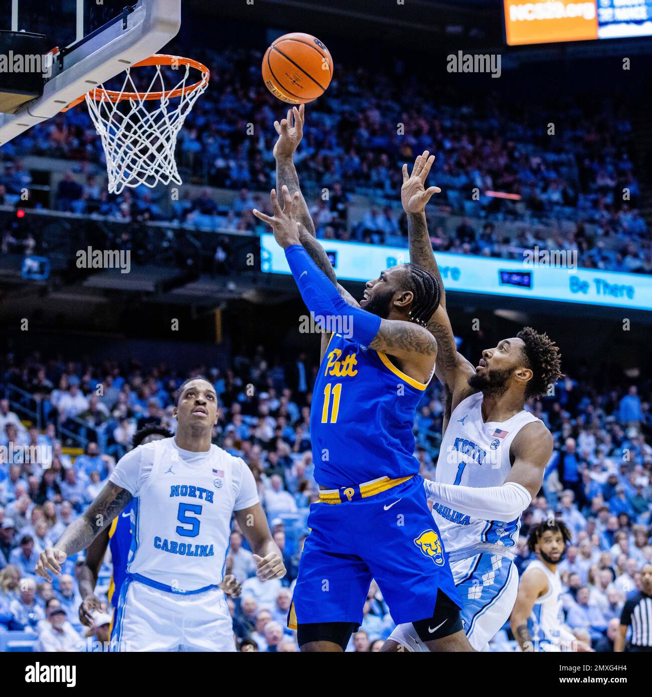 20230201 hi-res stock photography and images - Alamy