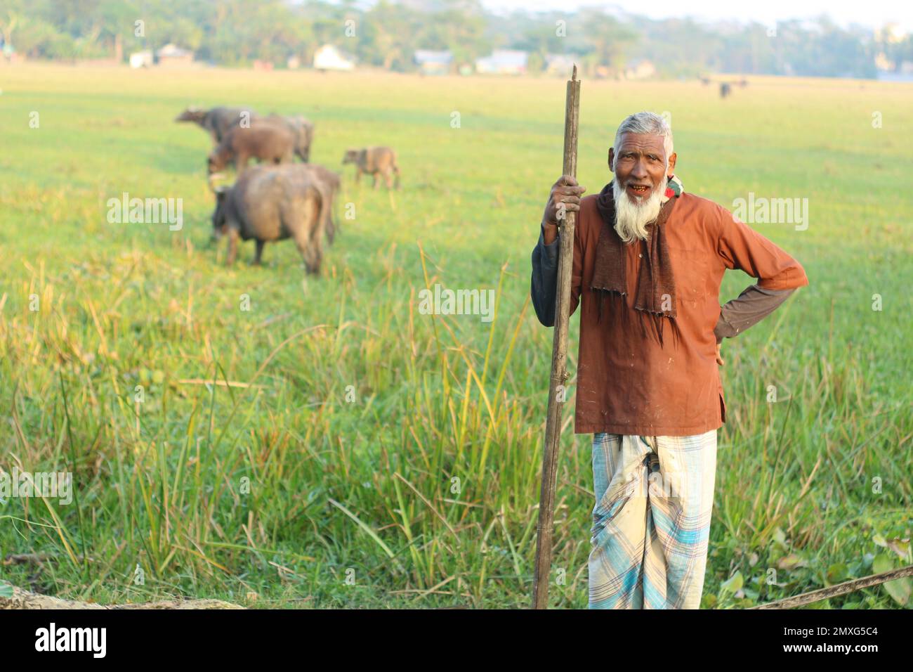 Barguna field hi-res stock photography and images - Alamy