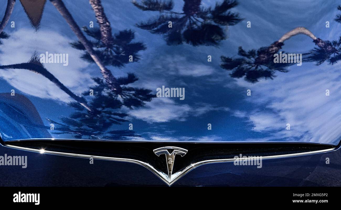 Clouds and palm trees are reflected on the hood of a Tesla Model S on ...