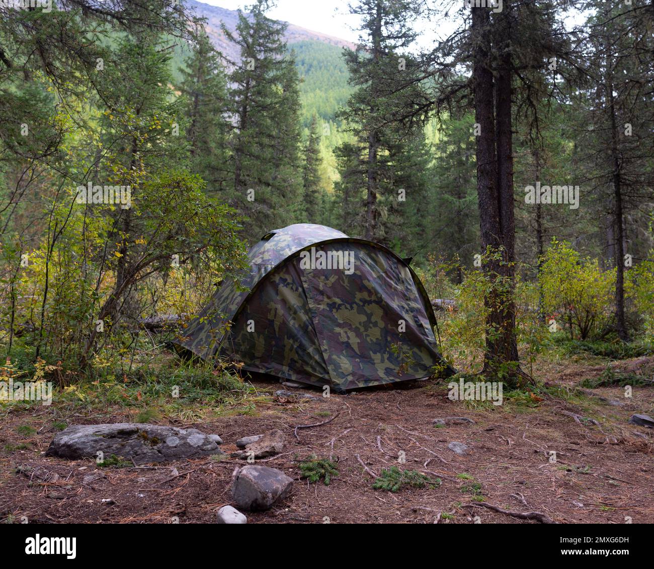 Camouflage tent hi-res stock photography and images - Alamy