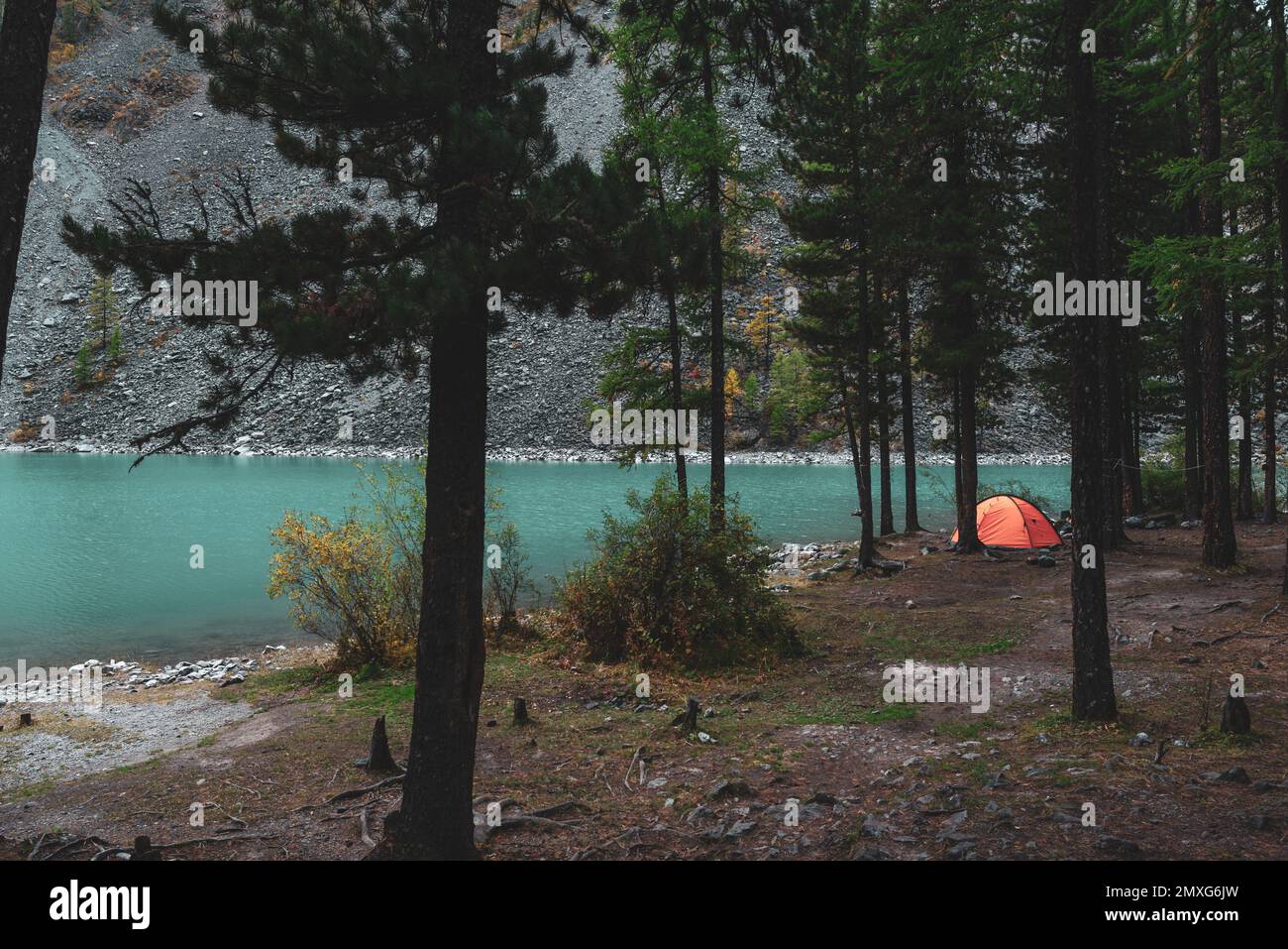 An orange tent stands in spruce trees on the shore of the high-altitude ...