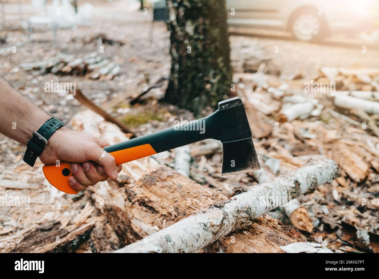 Male hand with small ax. Cutting birch wood in camping for bonfire ...