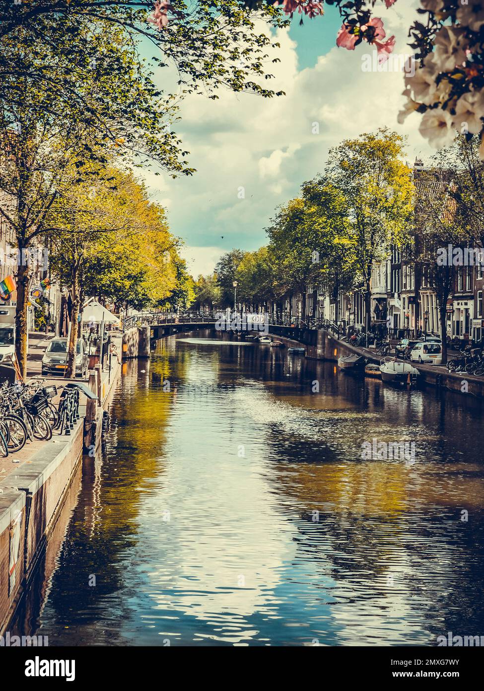 The beautiful Oudezijds Kolk canal lined with trees and overhanging ...