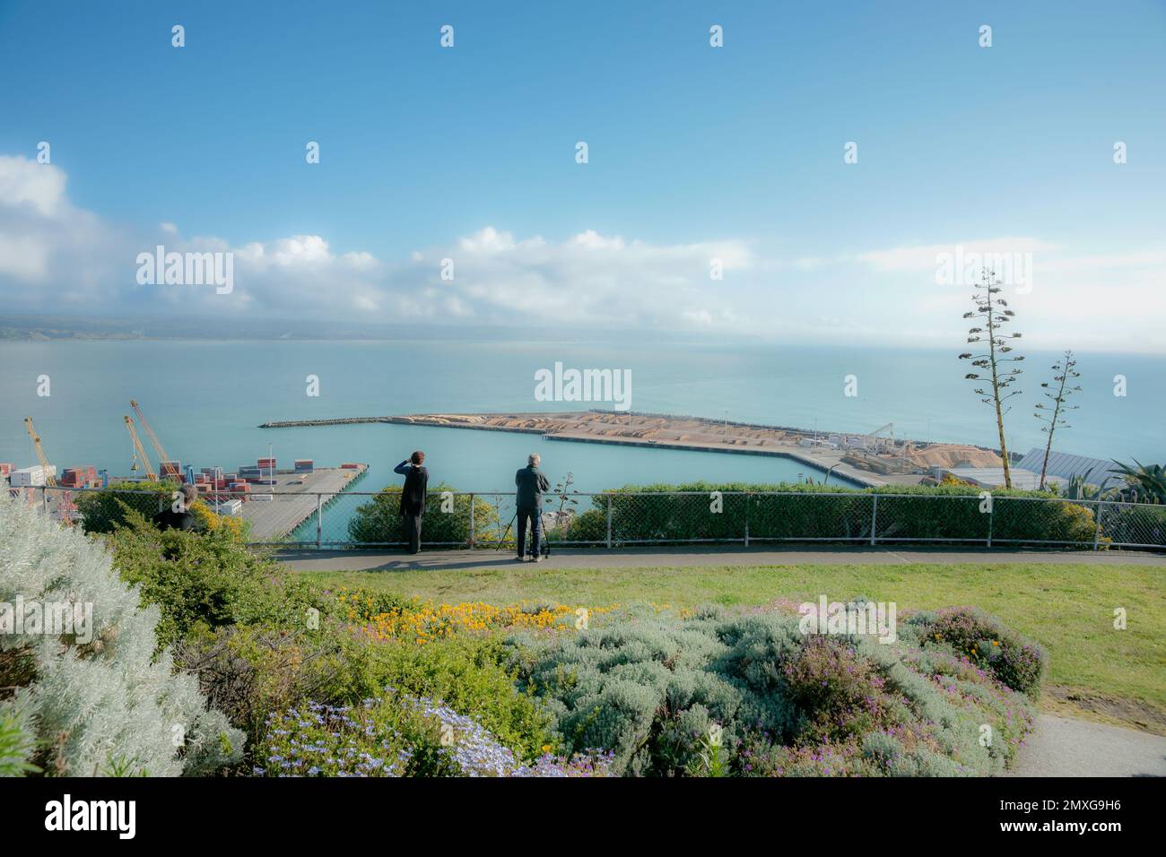 Napier harbour waterfront hi-res stock photography and images - Alamy