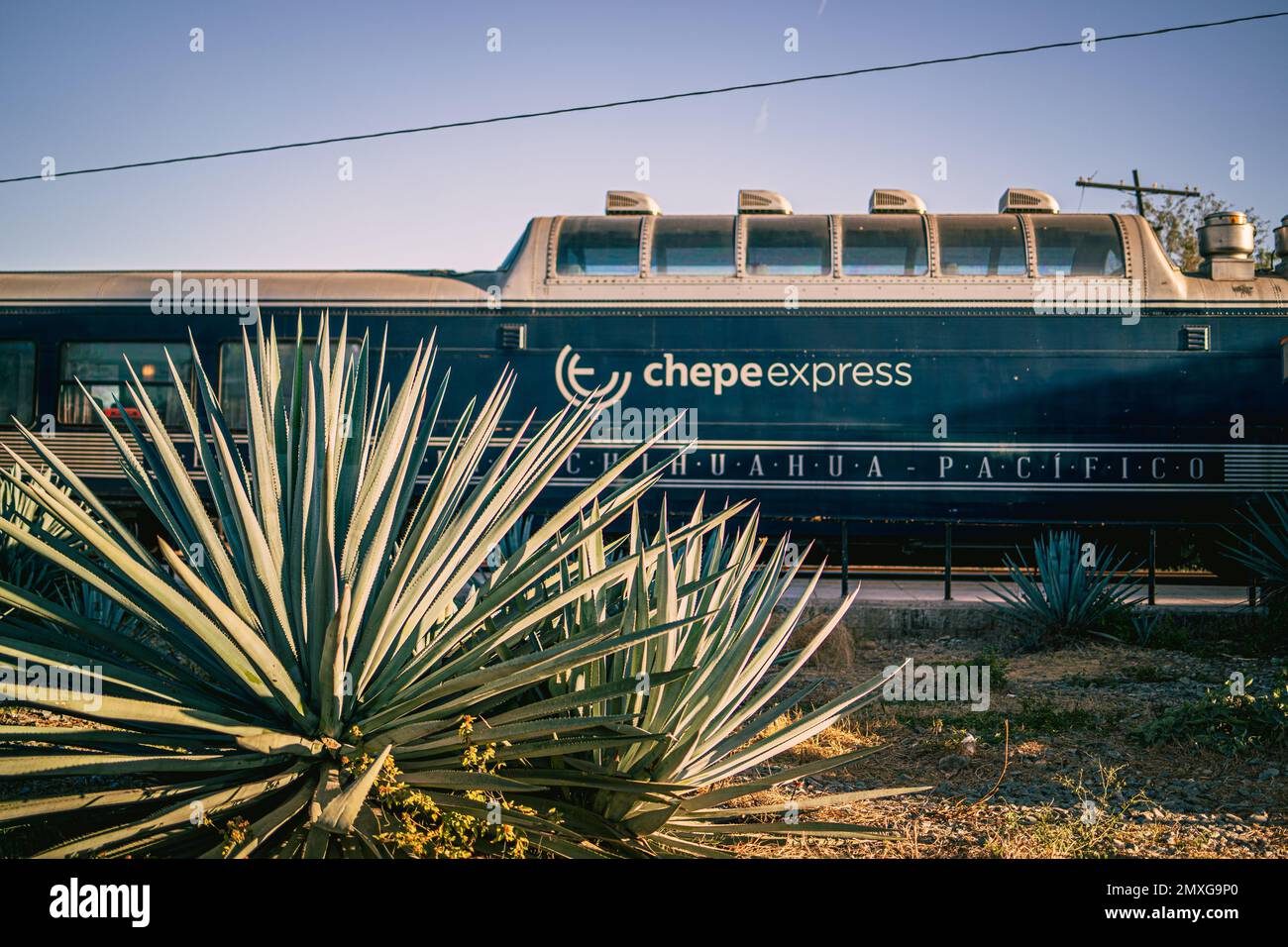 The Chepe Express Train on the railway of Mexico against the sunny blue ...