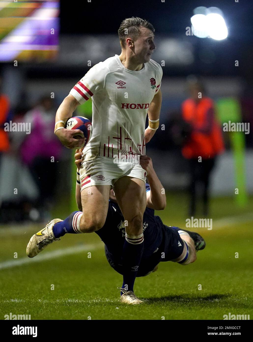 Tobias elliott hi-res stock photography and images - Alamy