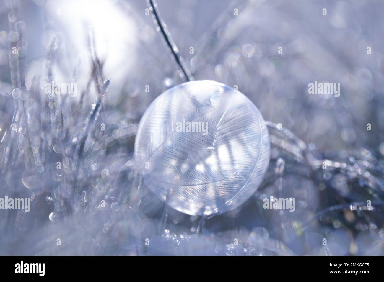 Closeup frozen crystal ball hi-res stock photography and images - Alamy