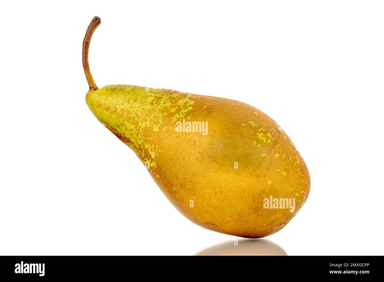 Pear conference harvest hi-res stock photography and images - Alamy