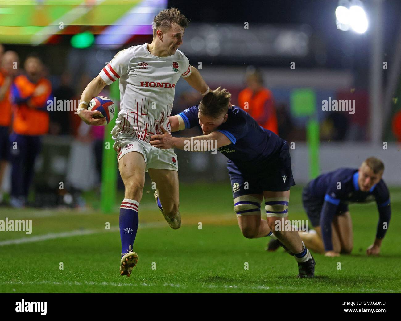 Tobias elliott hi-res stock photography and images - Alamy