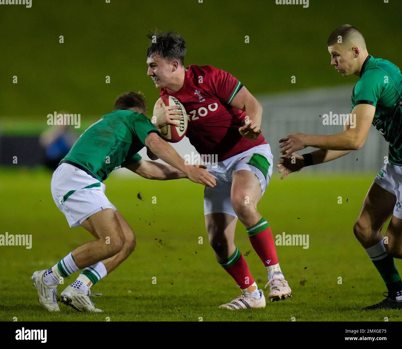 Harri ackerman hi-res stock photography and images - Alamy