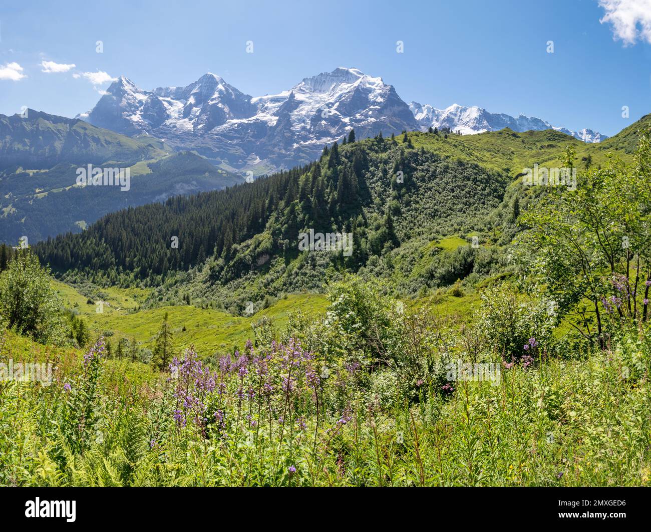 The Bernese alps with the Jungfrau, Monch and Eiger peaks over the alps ...