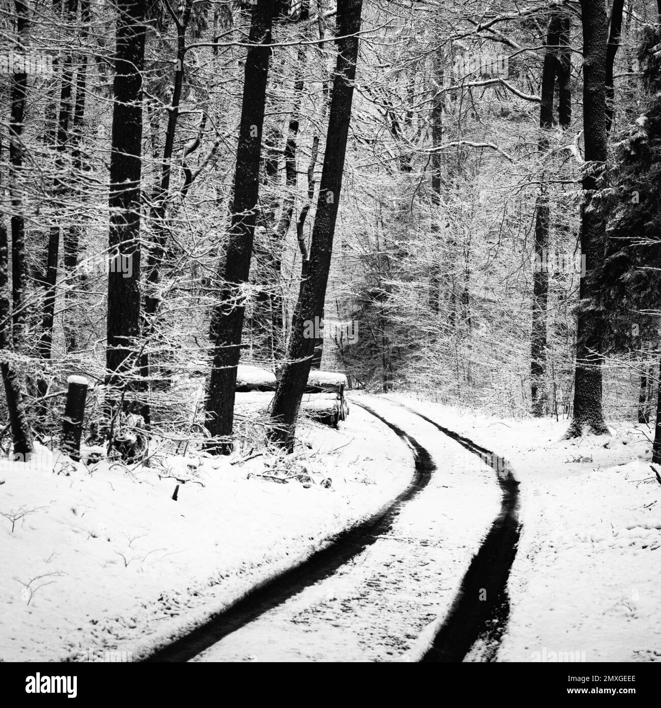 A road with two dark wire tracks in the white snow leading around a ...