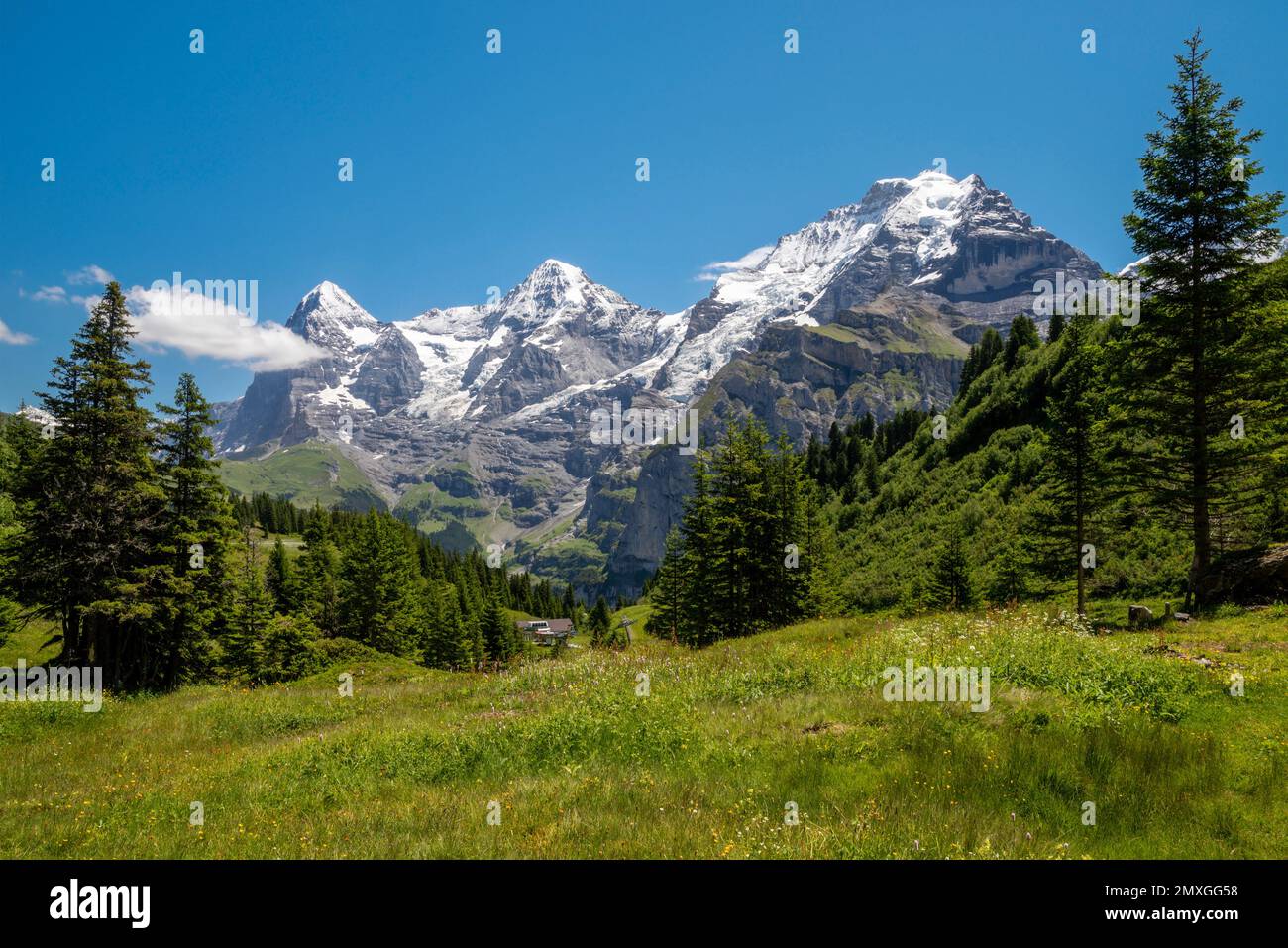 The Bernese alps with the Jungfrau, Monch and Eiger peaks over the alps ...