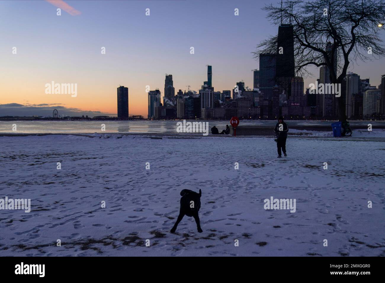 Tim Fain walks his dog Abbie along the icy shore on North Avenue Beach ...