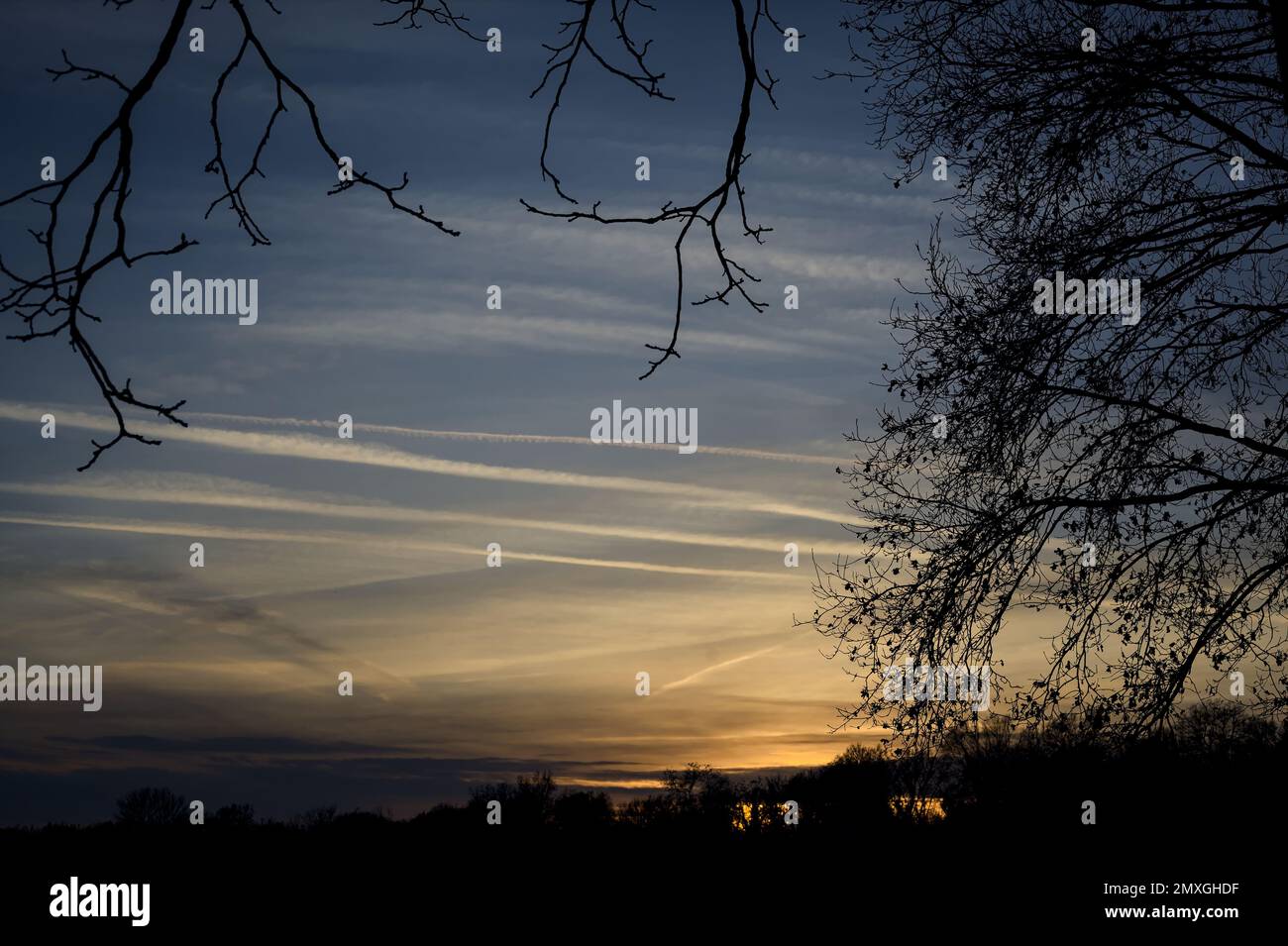 Overcast sunset sky with silhouette of a park Stock Photo - Alamy