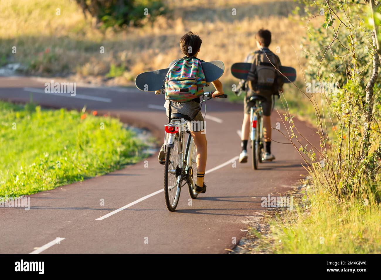 Person riding a bicycle on a cycle path Stock Photo - Alamy