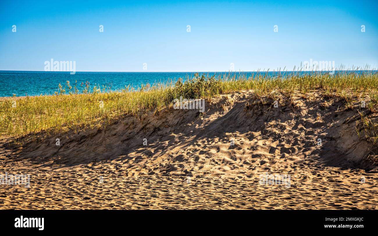 Sand dunes and foilage on beach Lake Superior shore Stock Photo - Alamy