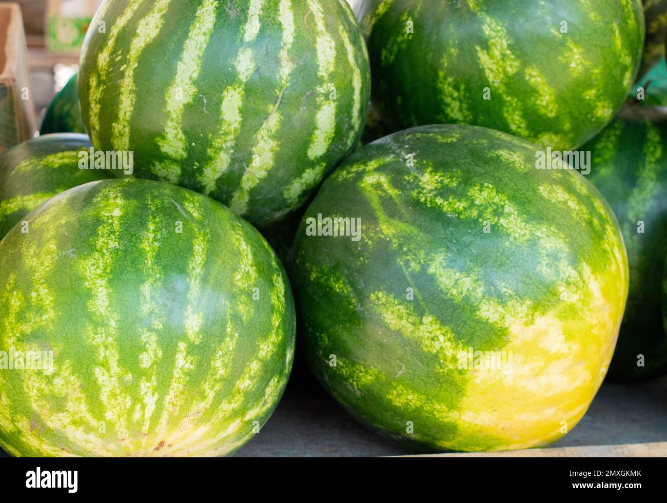 Big watermelons hi-res stock photography and images - Alamy