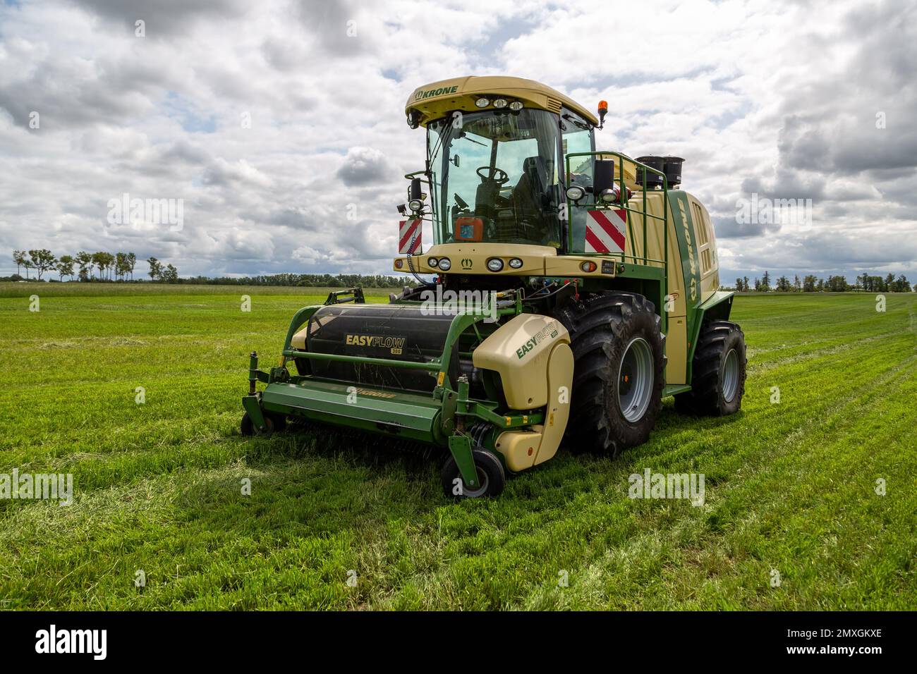 Russia, Leningrad Region - June, 2019: Powerful combine brand Krone at ...