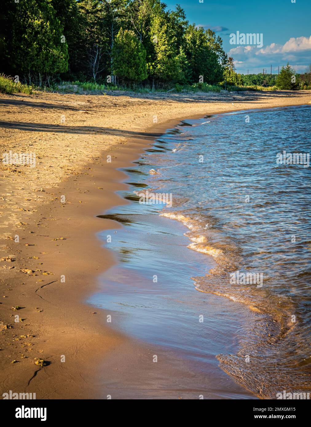 Sandy beach and trees Lake Michigan northern Michigan summertime Stock ...