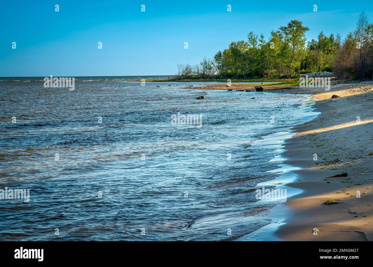 Sandy beach and trees Lake Michigan northern Michigan summertime Stock ...