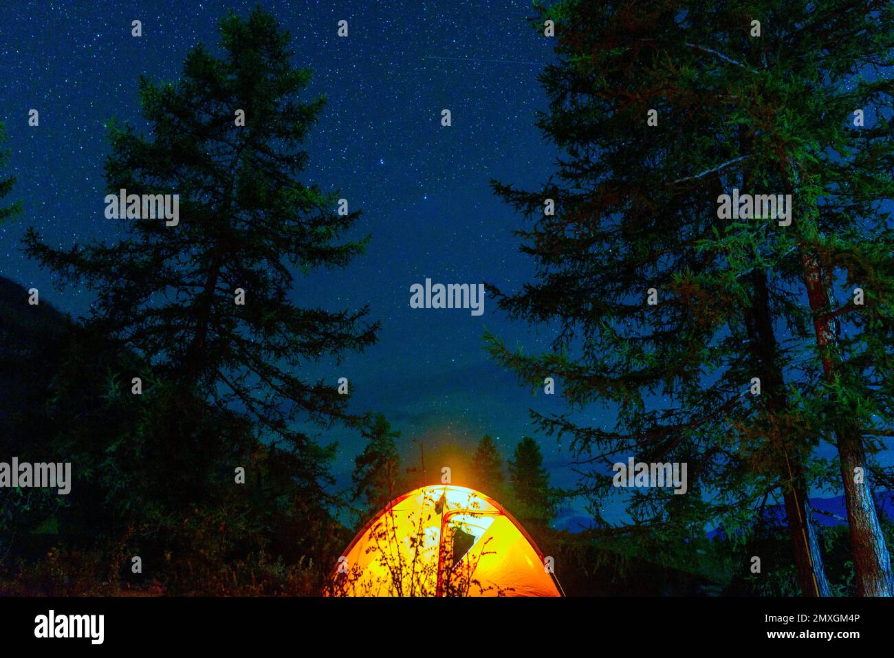 A tourist tent with an ajar entrance glows against the backdrop of ...