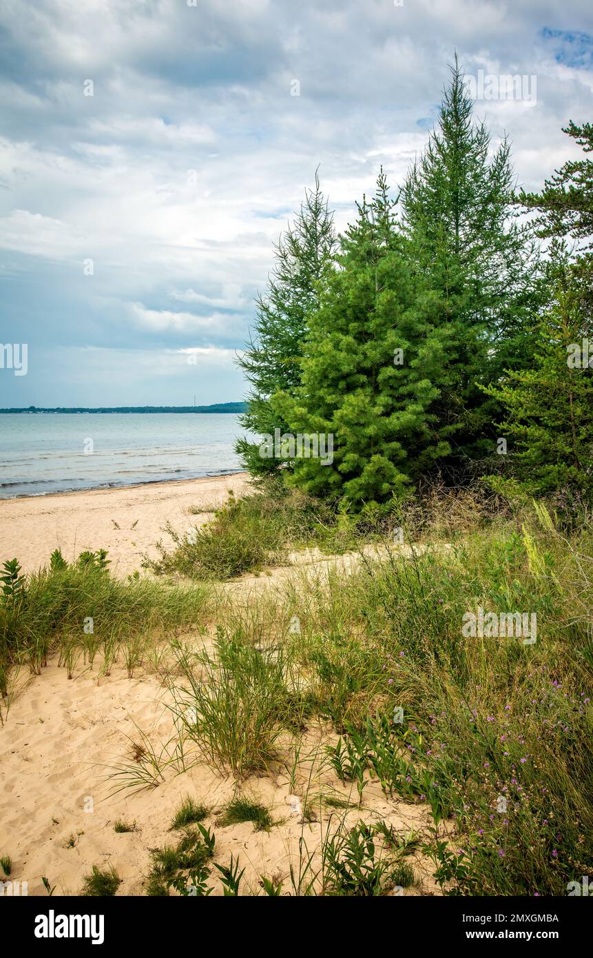 Sandy beach and trees Lake Michigan northern Michigan summertime Stock ...