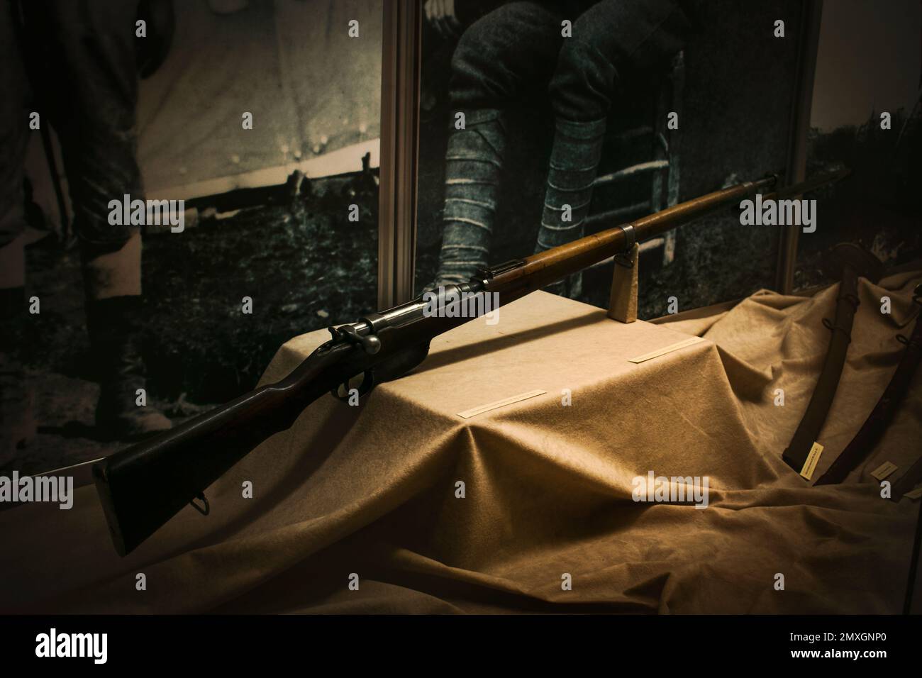 A gun from WW1 in city museum of Novi Sad in Serbia Stock Photo - Alamy