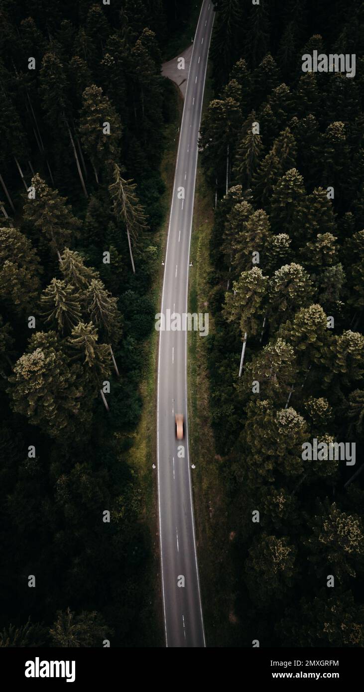 A top view of a car driving on an empty road alongside the green trees ...