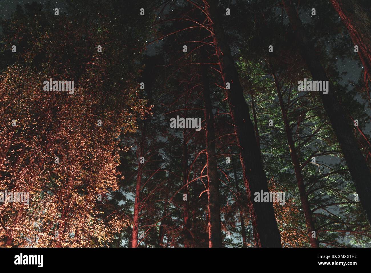 Light of a fire hi-res stock photography and images - Alamy