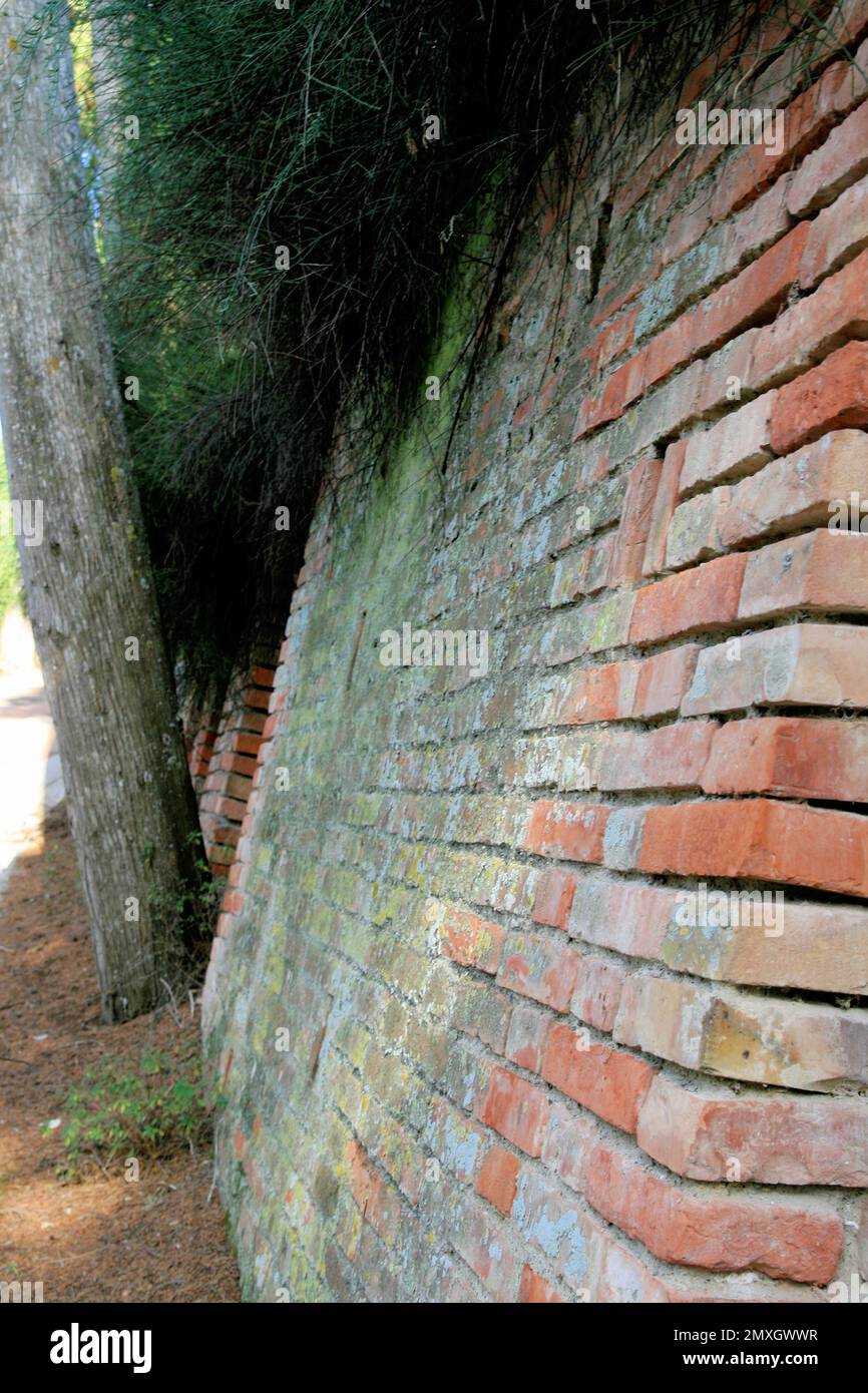 Old angled brick wall with vines Stock Photo - Alamy
