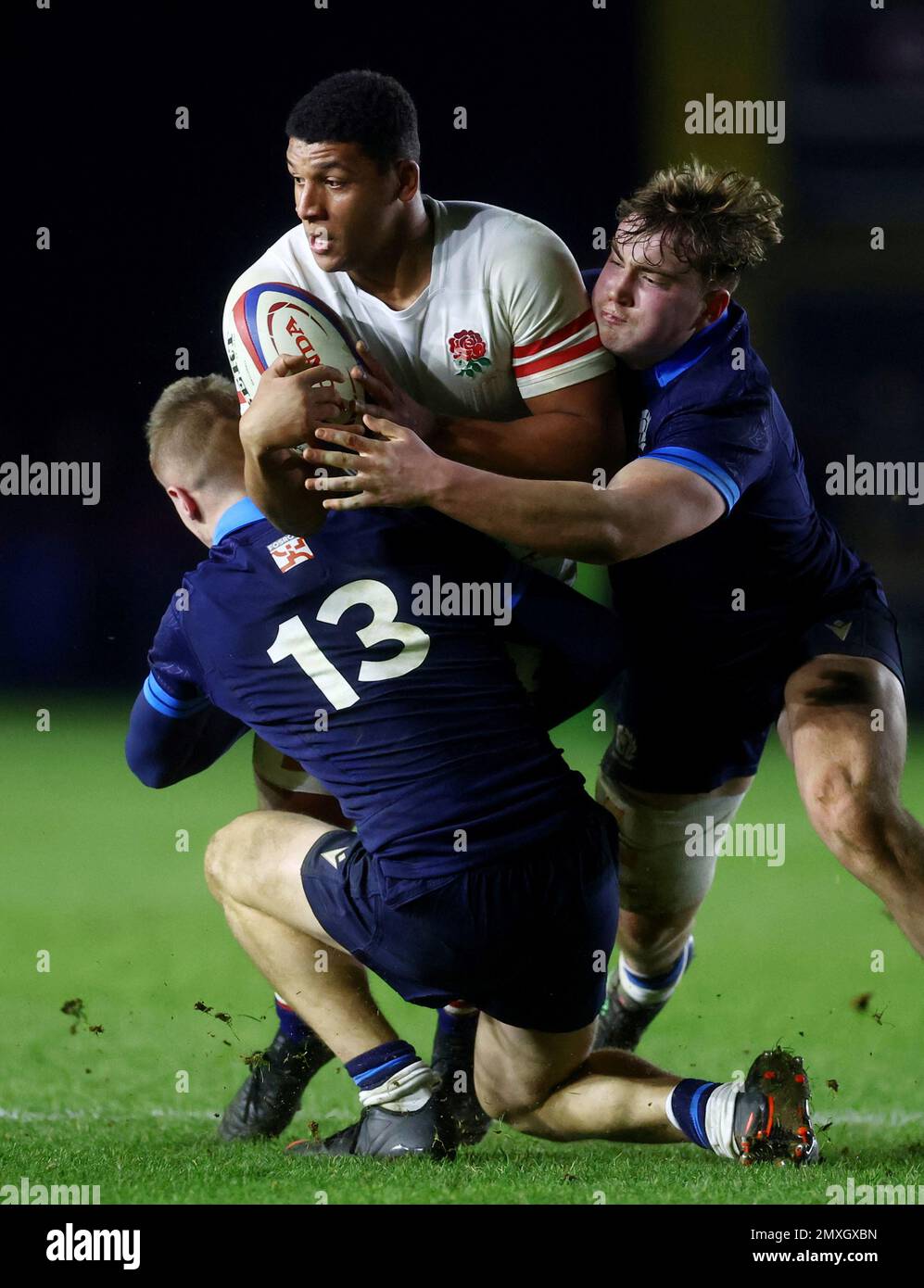 Tristan woodman hi-res stock photography and images - Alamy