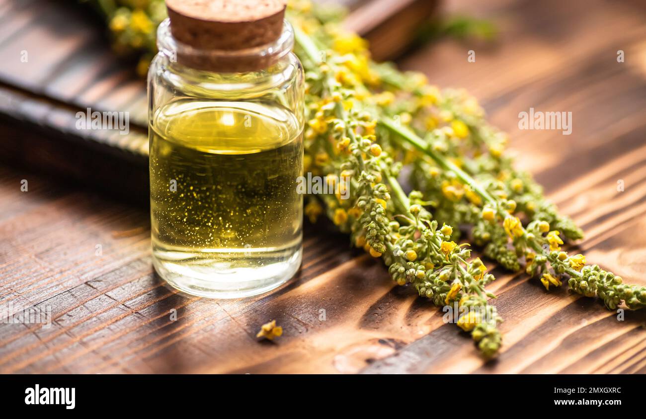 Mullein weed hi-res stock photography and images - Alamy