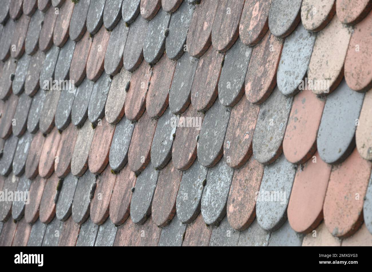Red, brown grey roof tiles pattern. close up of many colours roof ...