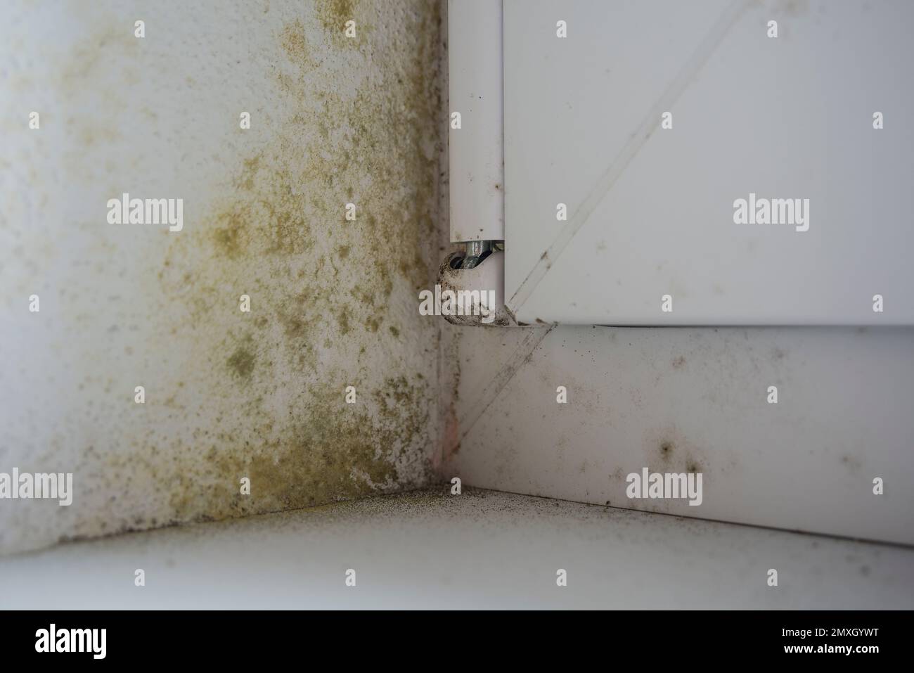 Moisture around hi-res stock photography and images - Alamy