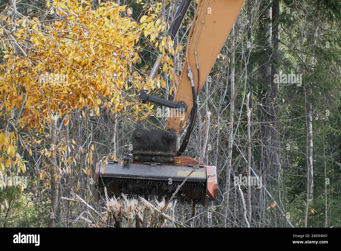 Mulcher masticator hi-res stock photography and images - Alamy