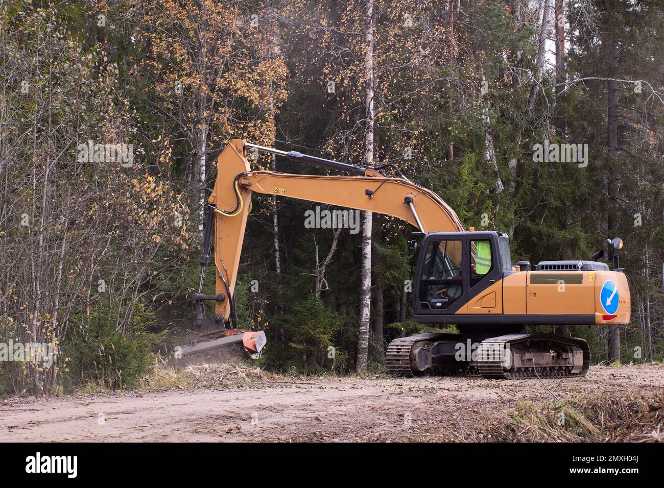 Forestry excavator mulcher doing roadside clearing with mulching ...