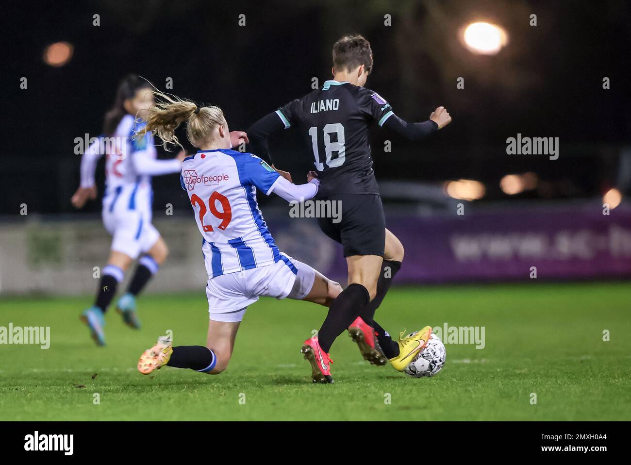 Iedema hi-res stock photography and images - Alamy