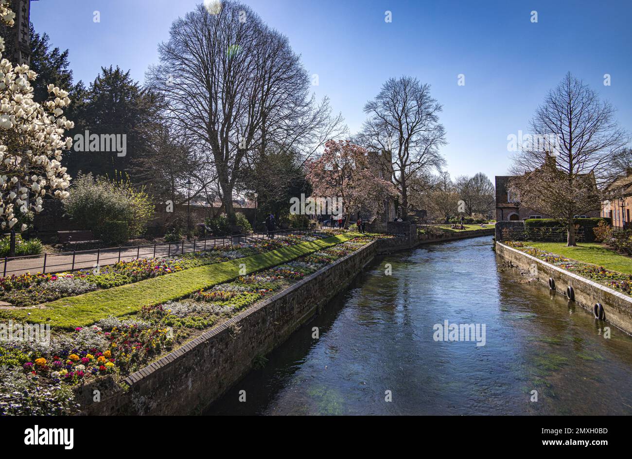 River Stour, Canterbury, Kent, England Stock Photo - Alamy