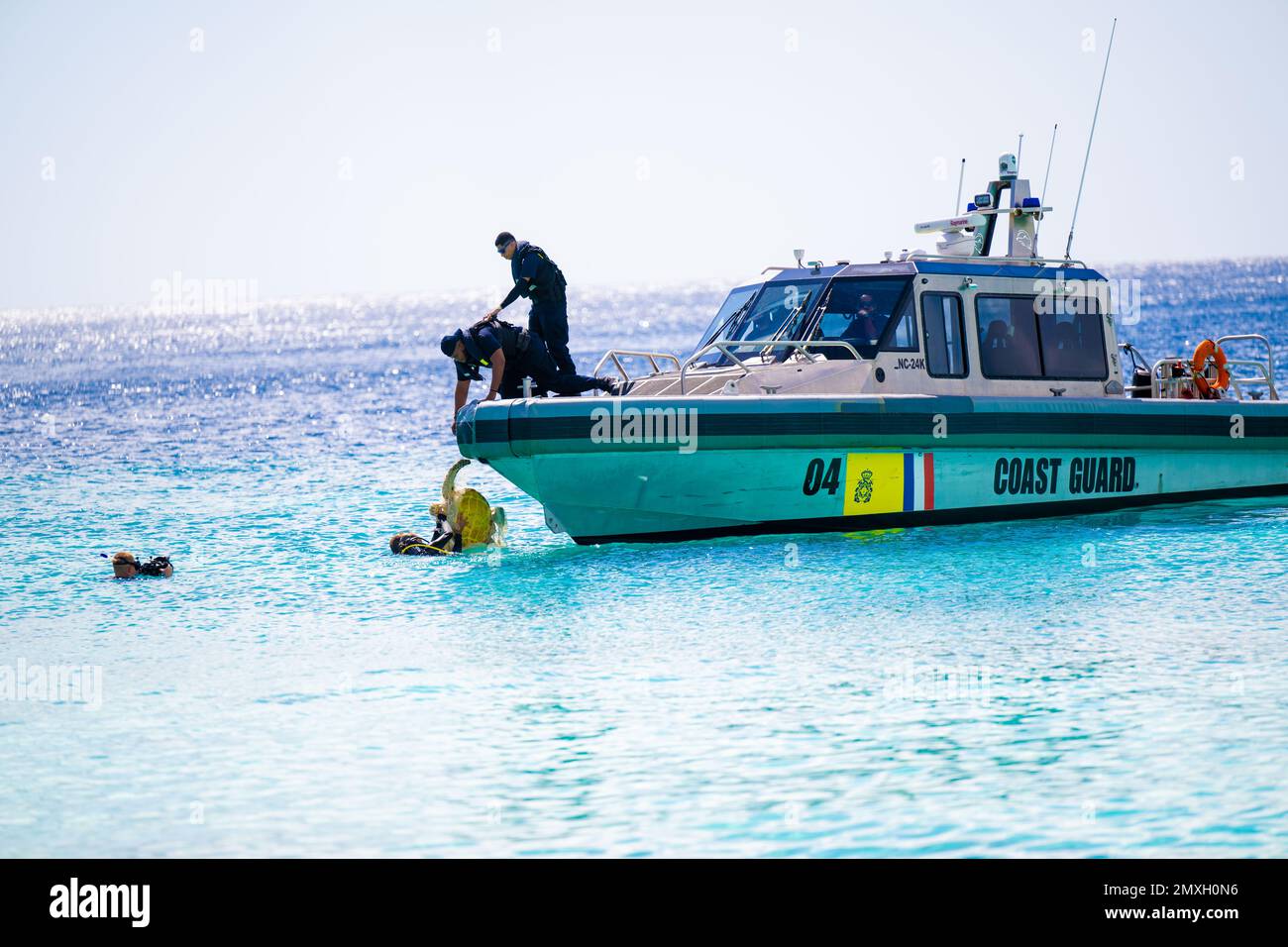 Coast guard with turtle during a visit to Country house Knip, Museo ...