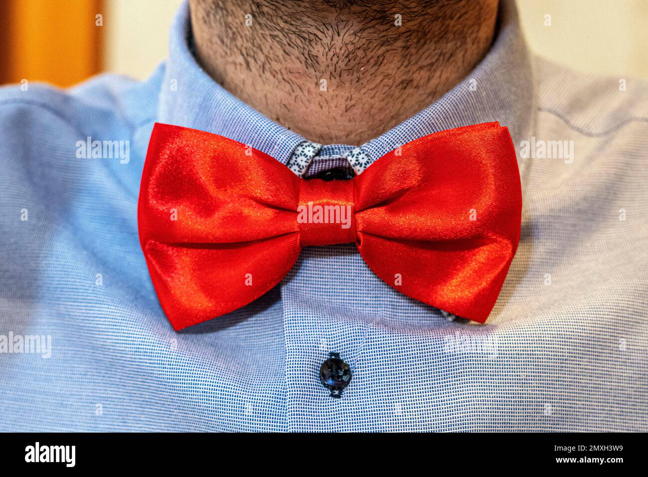 Close-up of man wearing a red papillon and a blue shirt. Light colors ...