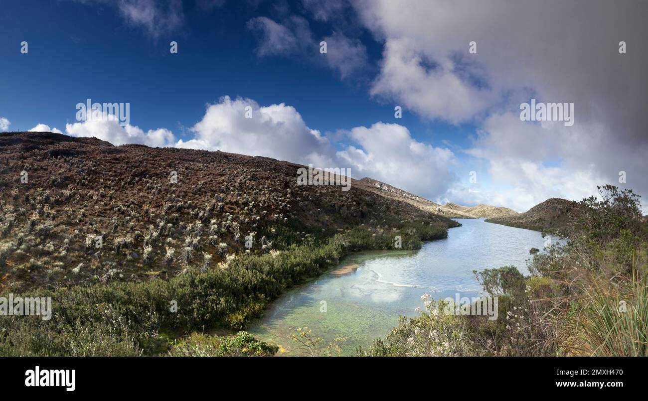Chisaca lagoon, paramo landscape, fraylejon mountains, in Sumapaz ...