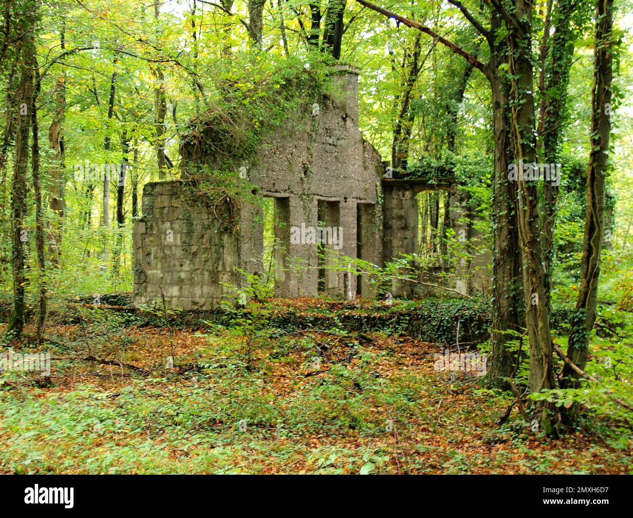 An abandoned overgrown pillbox covered in moss in woodlands Stock Photo ...