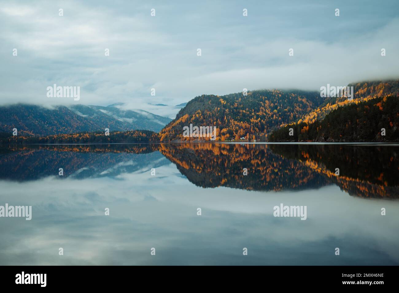 A beautiful view of a lakeside with trees in fall colors reflecting in ...