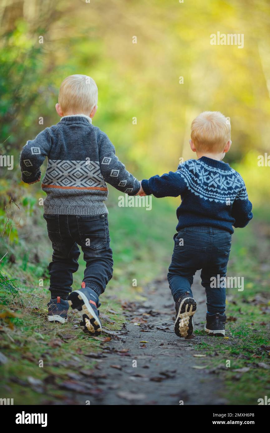A vertical back view of two kids walking on a trail in a forest Stock ...