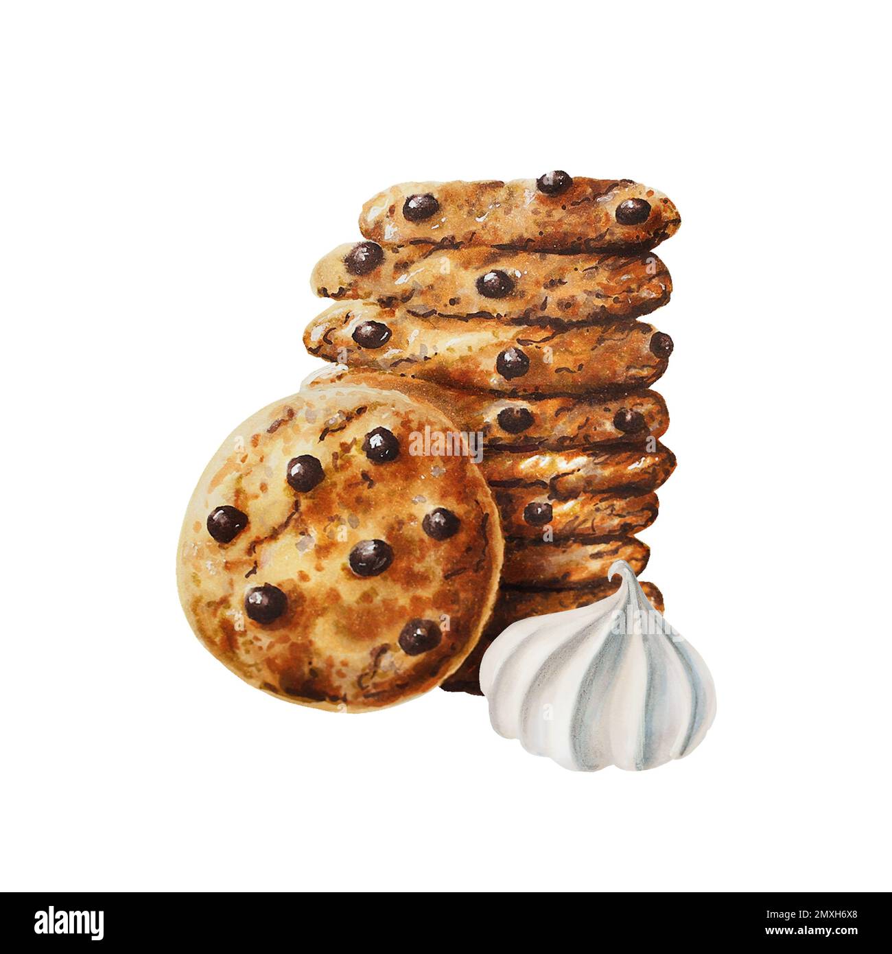 Watercolor set with meringue, cholocate cookies. Hand painting sweet on a white isolated ...