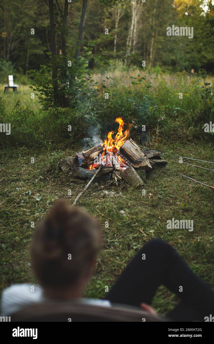 A vertical shot of a campfire on the ground surrounded by greenery in ...
