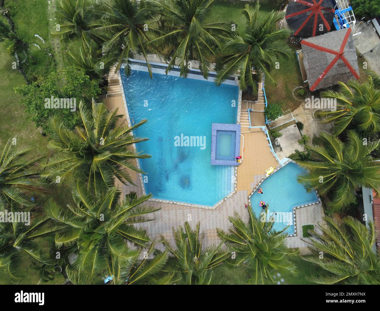 An aerial view of pools surrounded with palm trees Stock Photo - Alamy