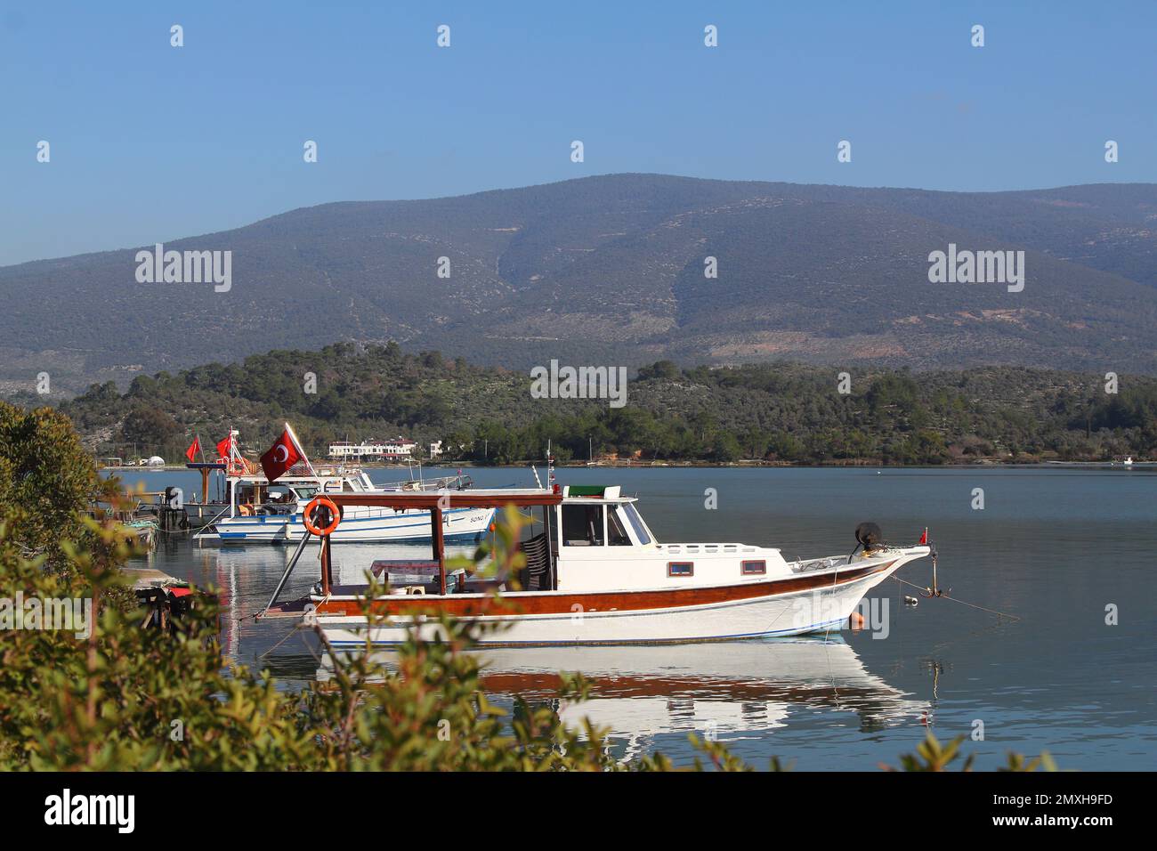Milas, Mugla, Turkey : 24 January 2023 In the Kazıklı village of Milas ...